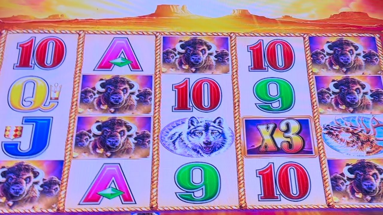 Buffalo Gold Collection Big Bonus! Mega Feature Bonus! - YouTube