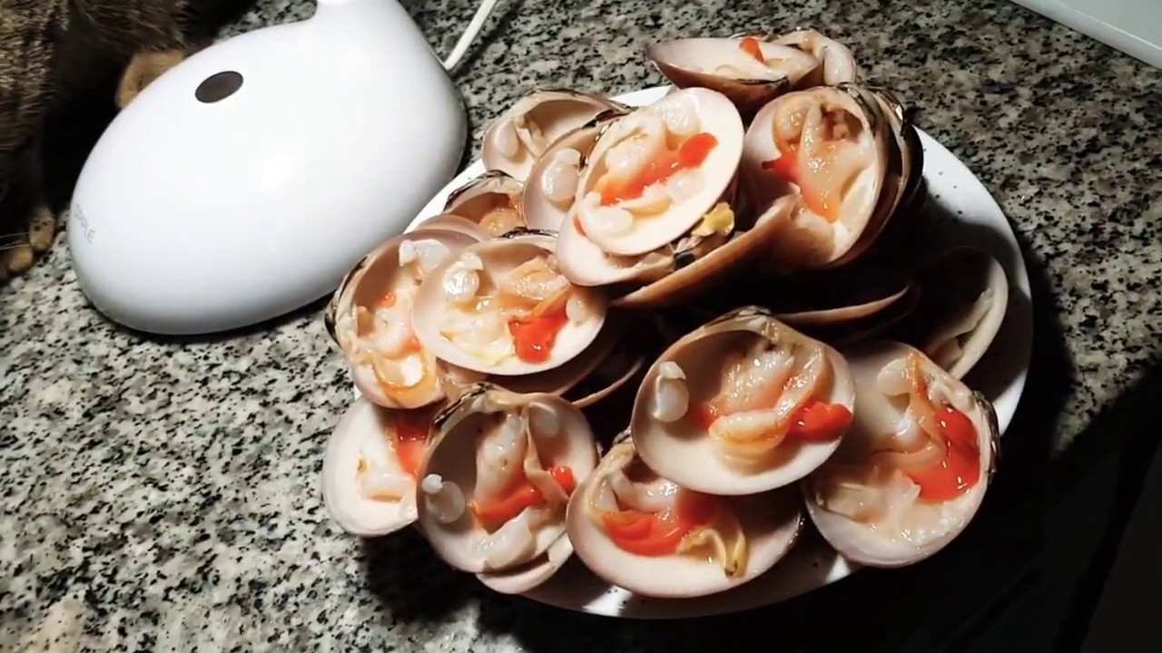Receta Concha Fina de Marruecos y Ceuta en salsa. Spanish seafood ...