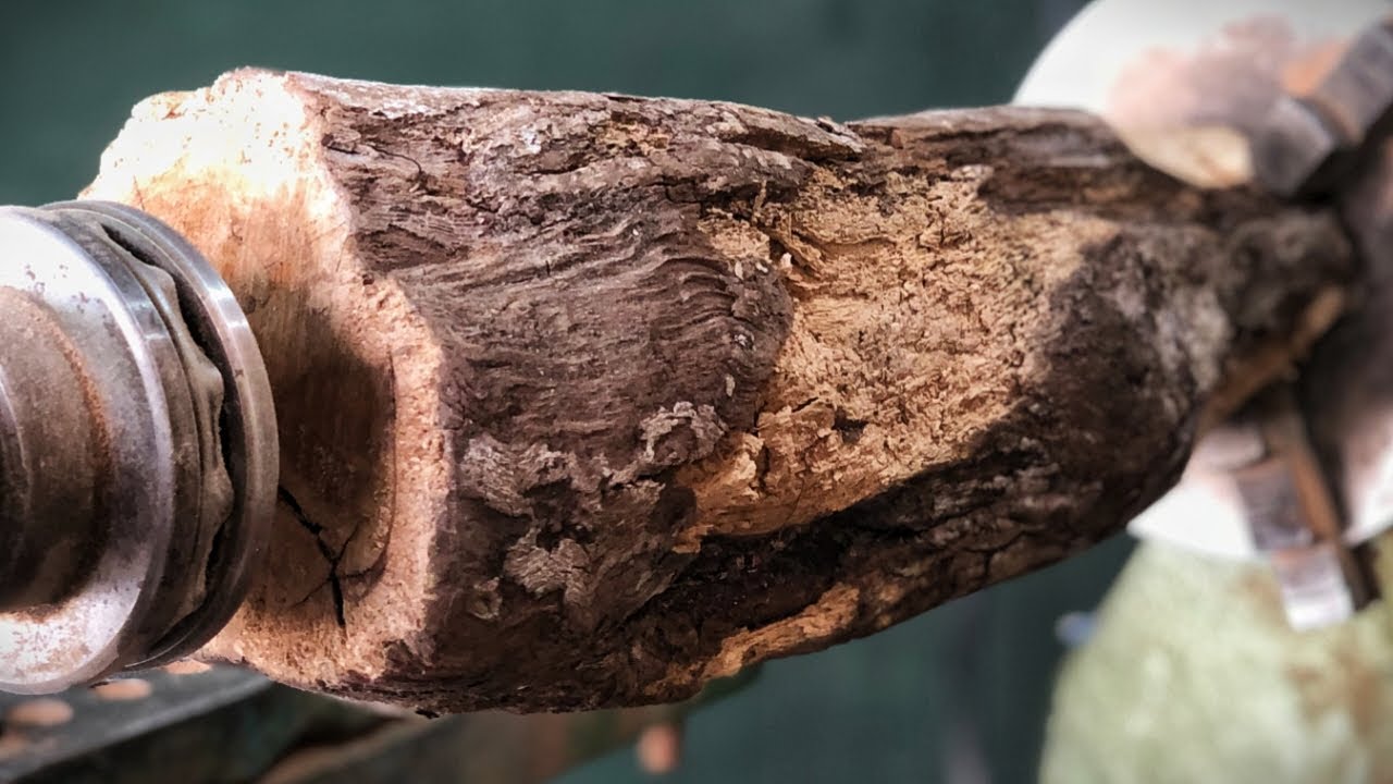 Old Walnut Tree root Working Project - Creative Woodworking idea - DIY ...