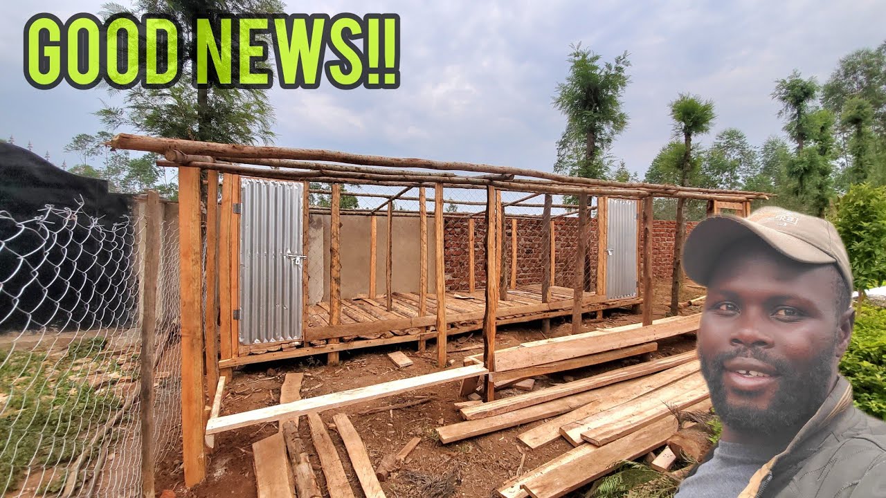 NEW LOOK OF OUR GOAT HOUSE!! DOORS INSTALLATION DONE!!#charity - YouTube