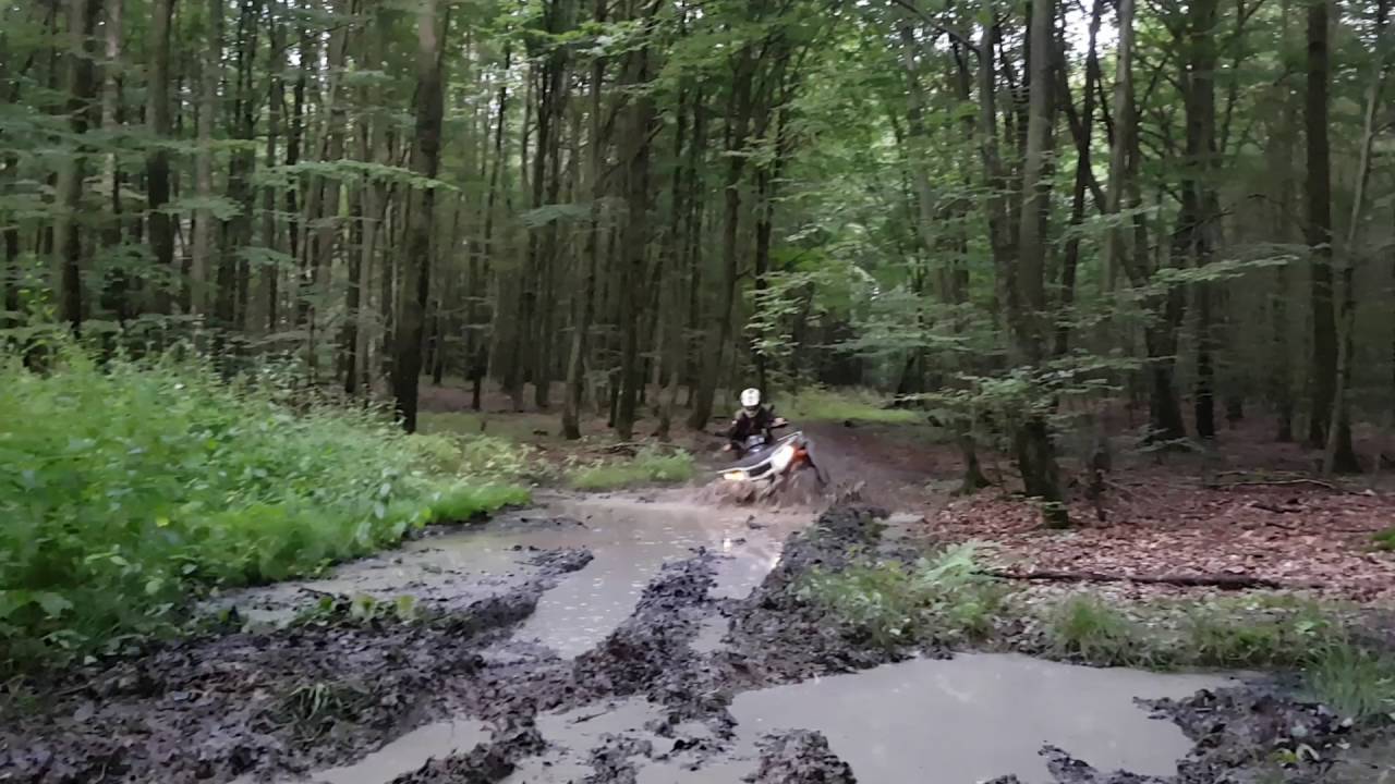Polaris hawkeye 300 - YouTube