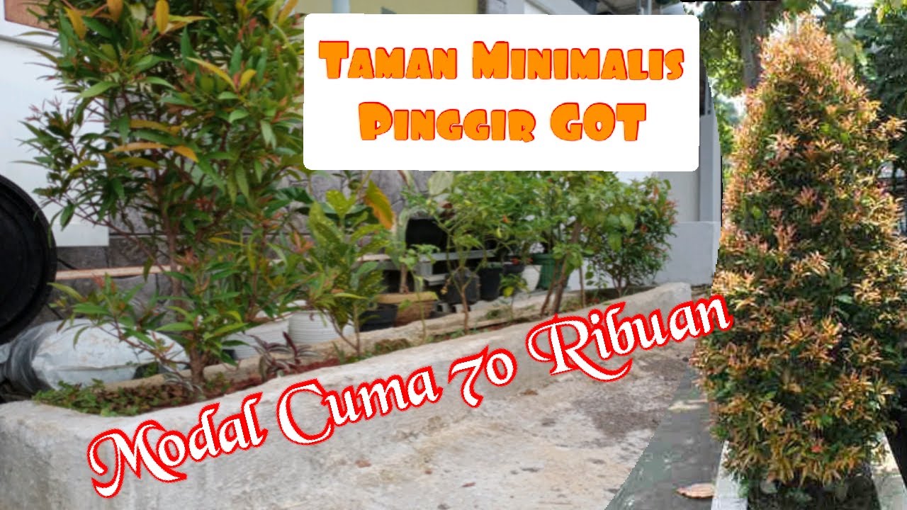 Pembuatan Taman di Pinggir GOT dengan LOW BUDGET. - YouTube