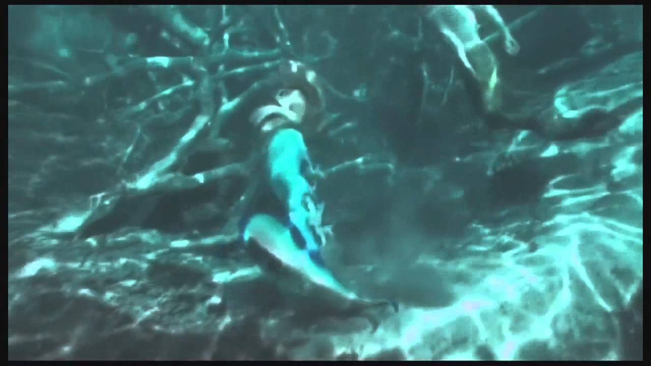 Schiller - I Miss You ( with Maya Saban ) - YouTube