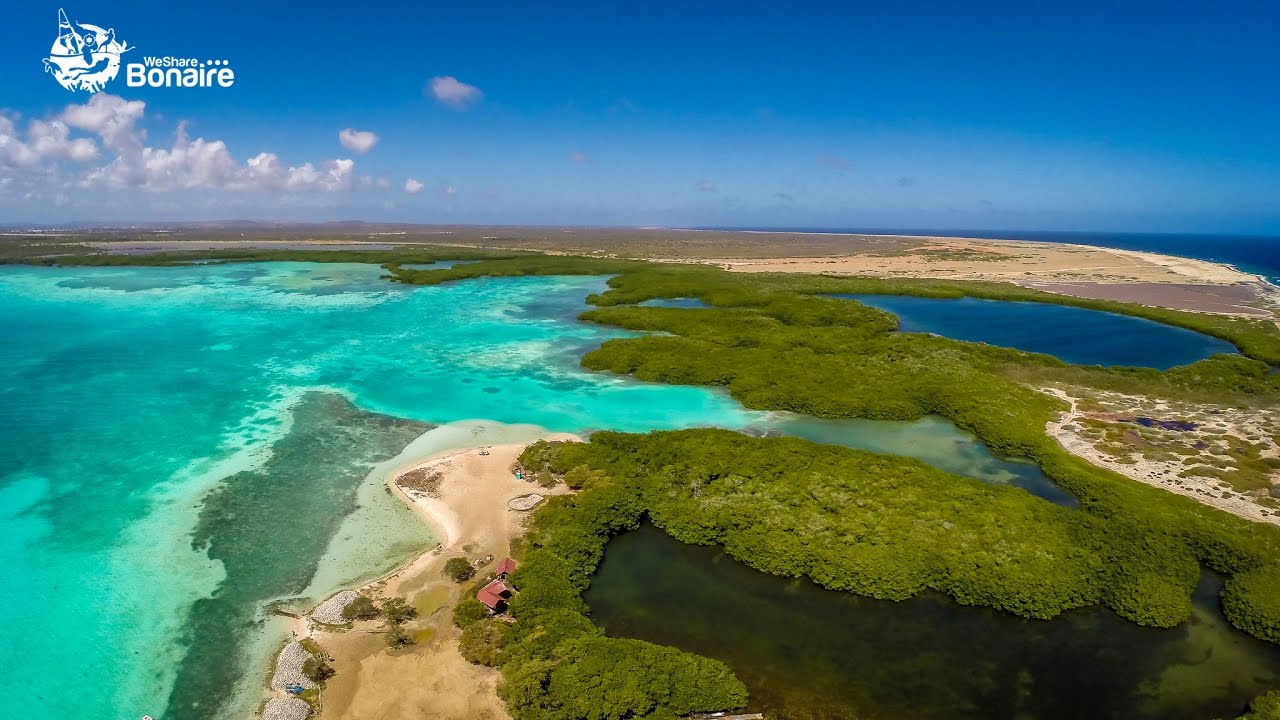 Mangrove Info Center Bonaire - YouTube