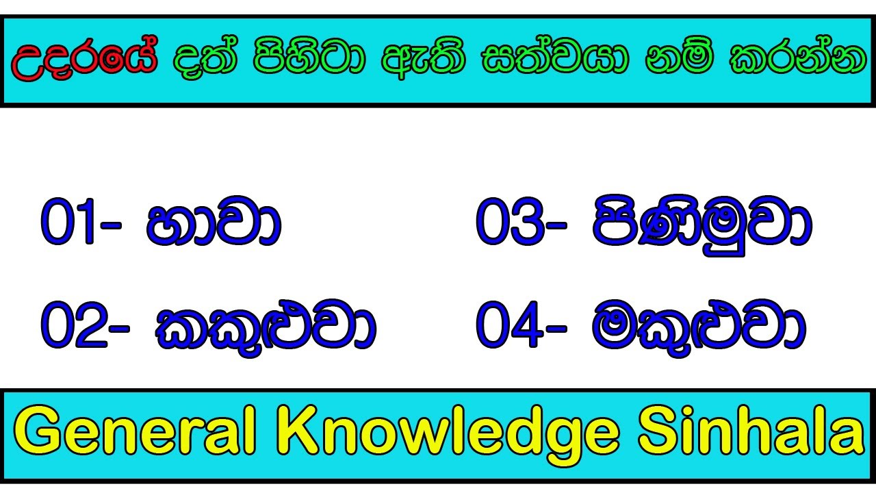 General Knowledge Sinhala 49 49 IQ Test general-knowledge-sinhala-49-49-iq-test