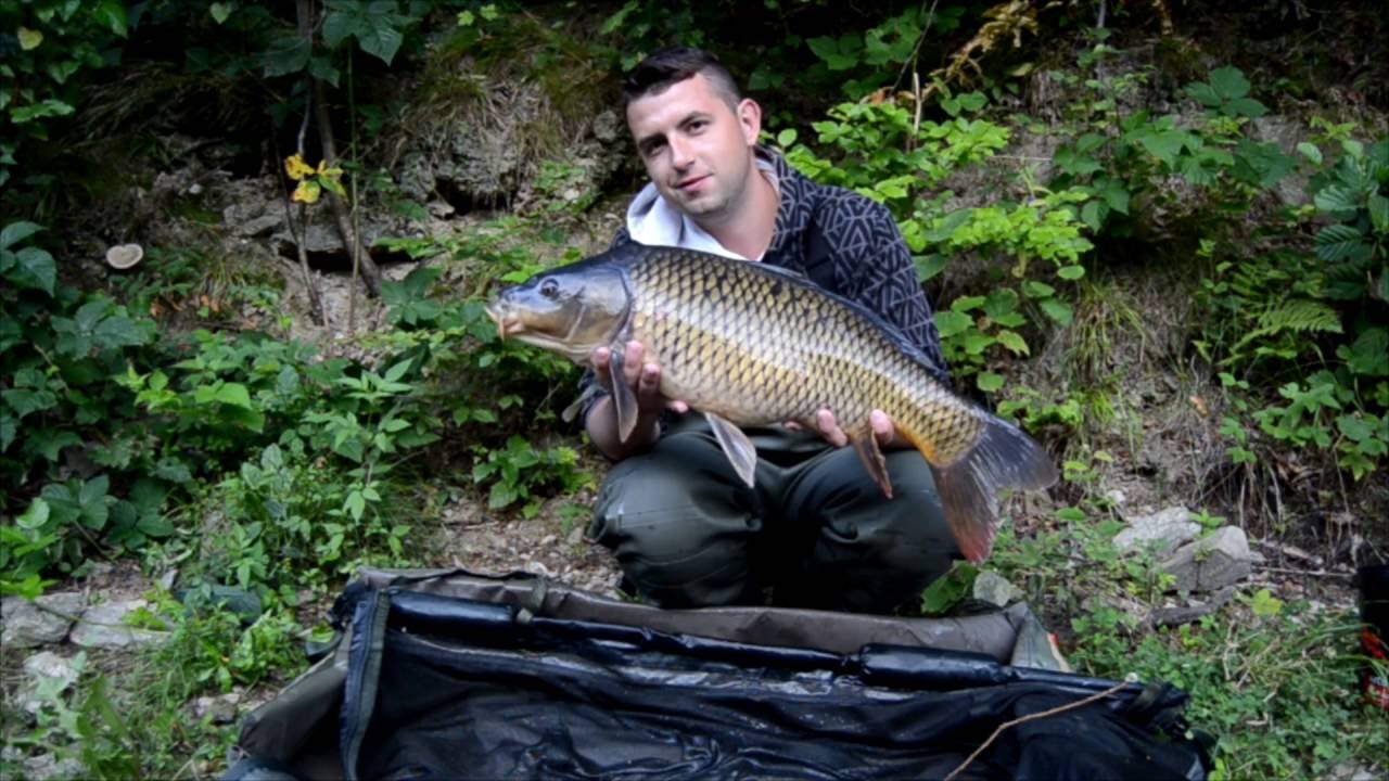 Carp Dance 2016 vol. 2 - Slovenský Cassien _ **nokillcarp_crew** - YouTube