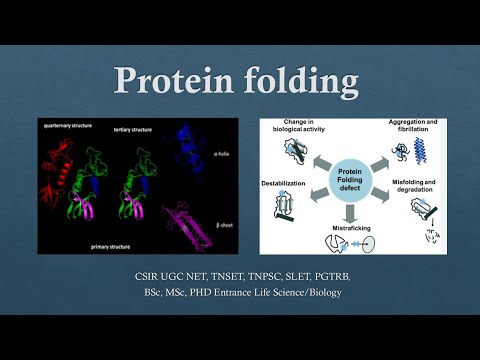 Protein Folding - Formation and defects. Tamil. #CSIR NET, #TNSET, # ...
