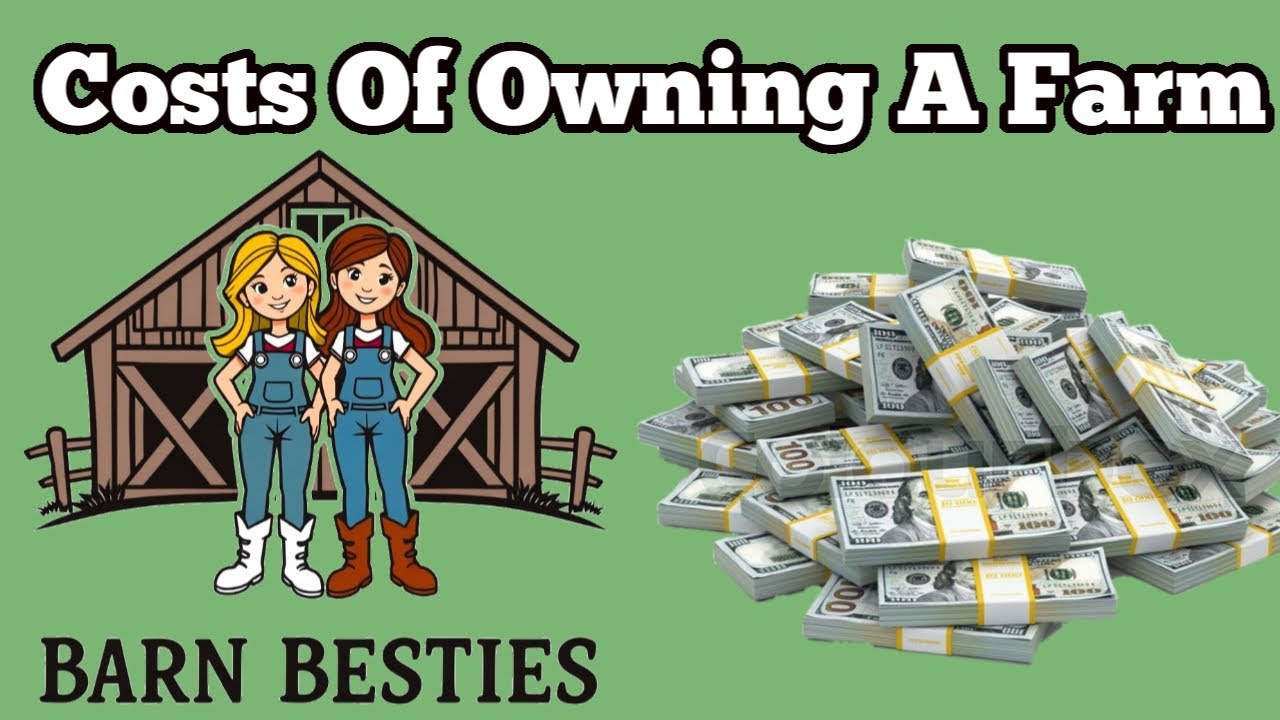 LIVE: Costs of Running A Horse Farm | Barn Besties - YouTube