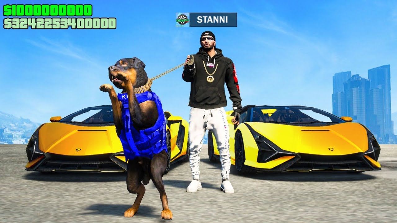 ICH BEKOMME EINEN WACHHUND für Stanni Performance! GTA 5 RP - YouTube