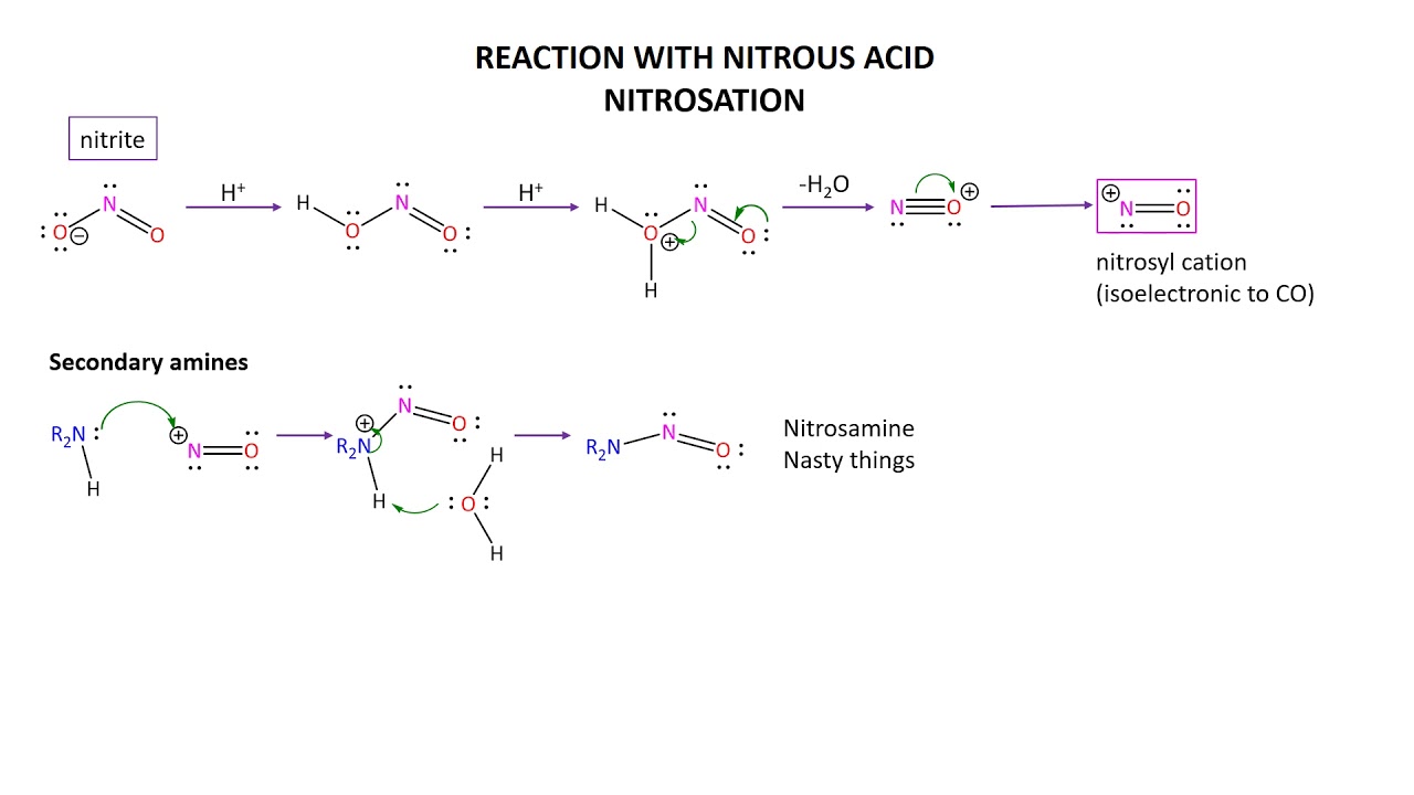 Amines 4b Aliphatic Nitrosylation - YouTube