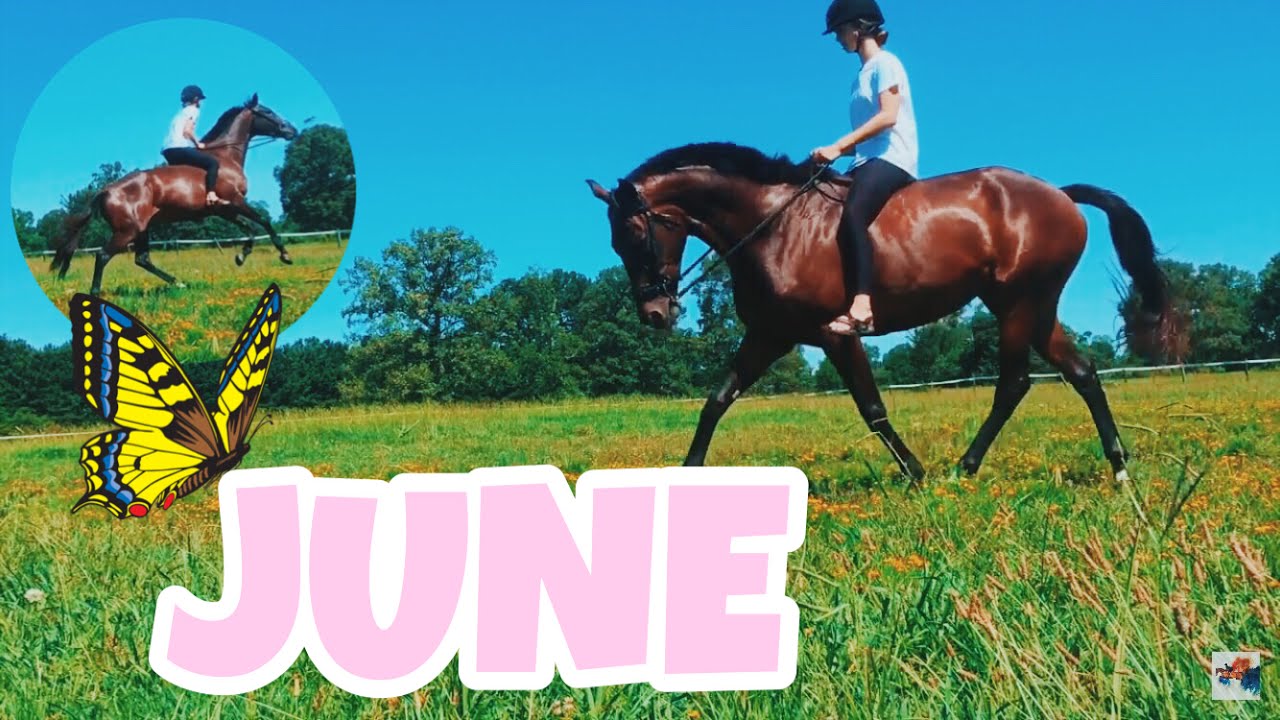 JUNE SYNOPSIS - YouTube