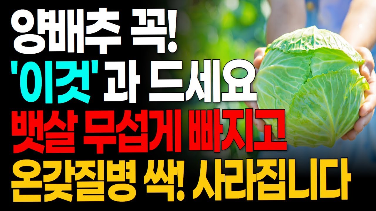 노년 건강을 위해 양배추는 꼭 ‘이것과 함께 드세요 30일 동안 양배추를 이렇게 먹었더니 뱃살 무섭게 빠지고 당뇨항암