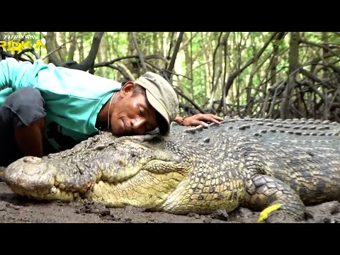 Crocodile Riska and Ambo - Compilation