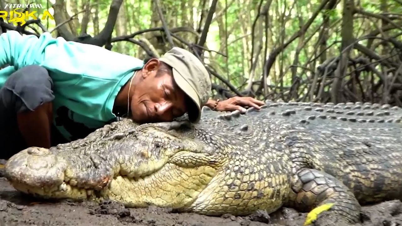 Crocodile Riska and Ambo - Compilation - YouTube