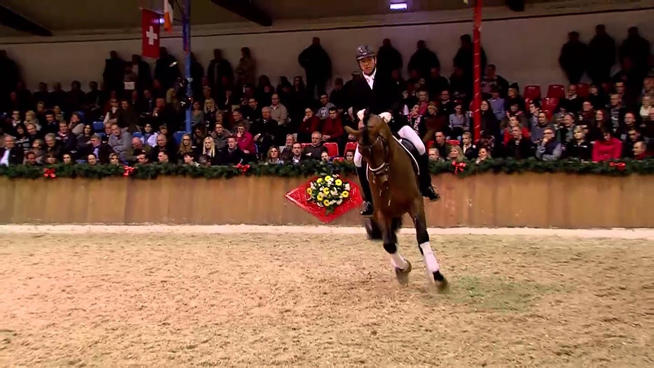 Antango *2009 by Ampère - Jazz (Stallion Show Sosath 2013) - YouTube
