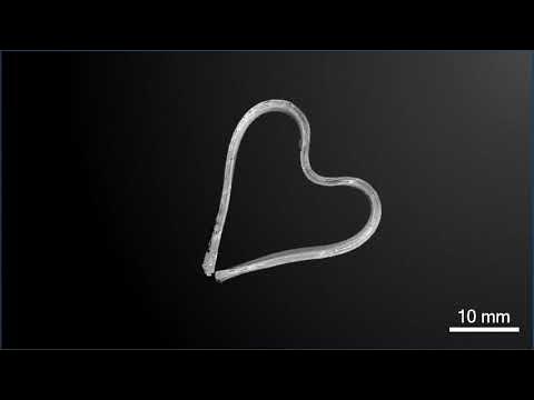 4D Printing of Continuous Shape Representation (1) - YouTube