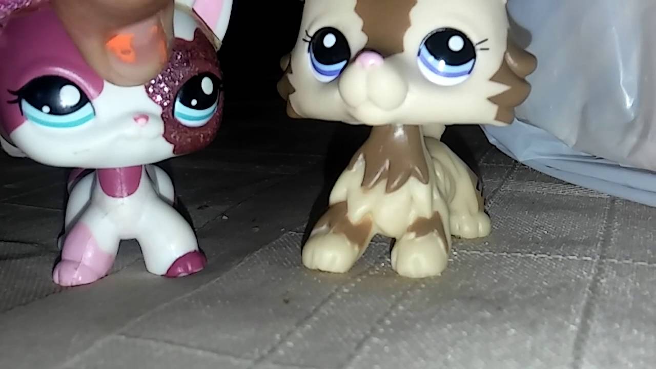 I'm packaging new LPS #2210!!!?!?!?!??!! - YouTube