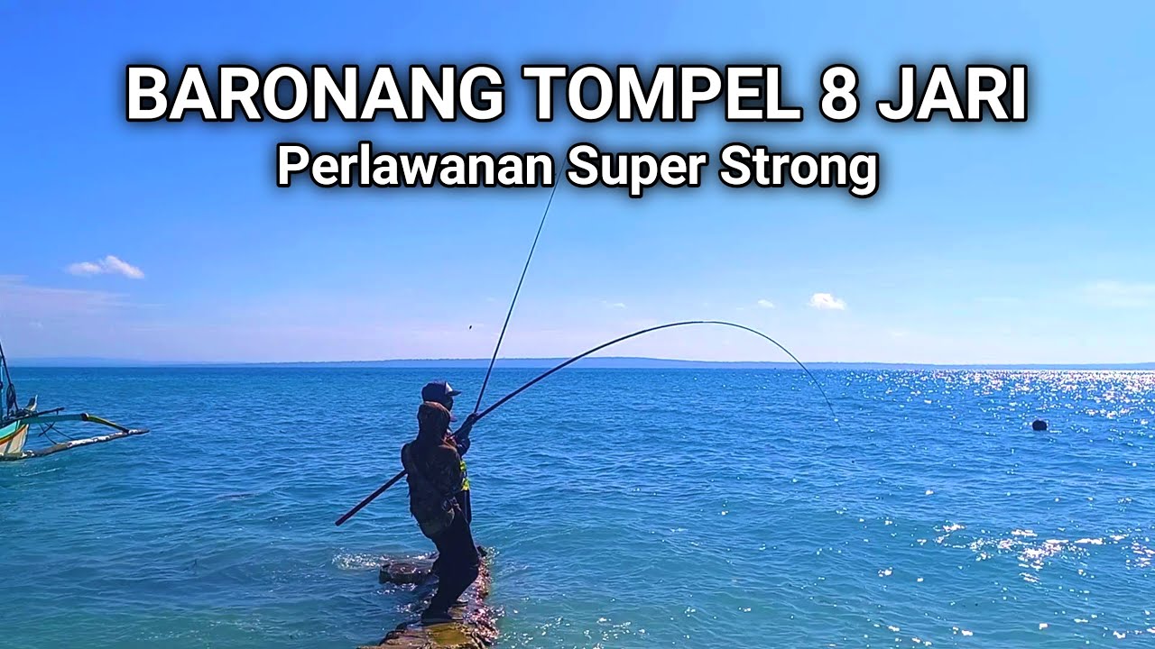 IKAN BARONANG TOMPEL 8 JARI PERLAWANAN SUPER STRONG, Rabbit Fish ...