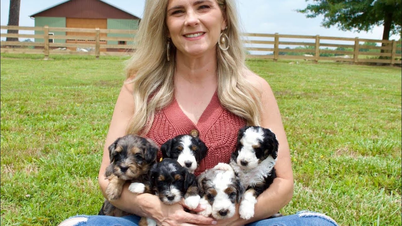 GOTCHA DAY/BALL PIT FUN - YouTube