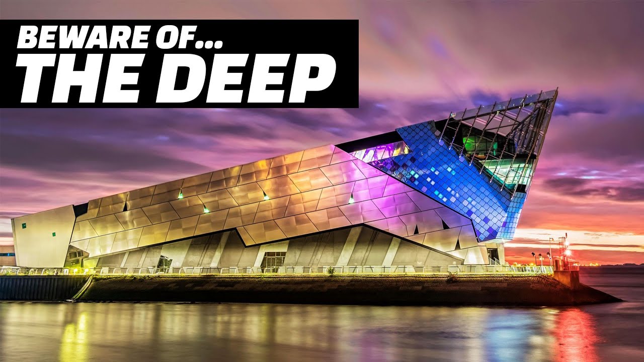 Exploring The Deep Hull Aquarium: Face-to-Face with Majestic Sharks ...