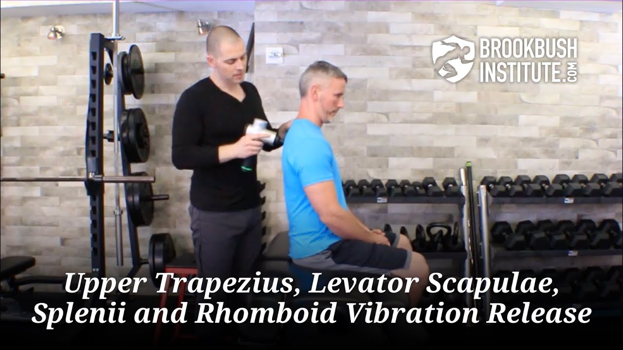 Upper Trapezius, Levator Scapulae, Splenii and Rhomboid Vibration ...