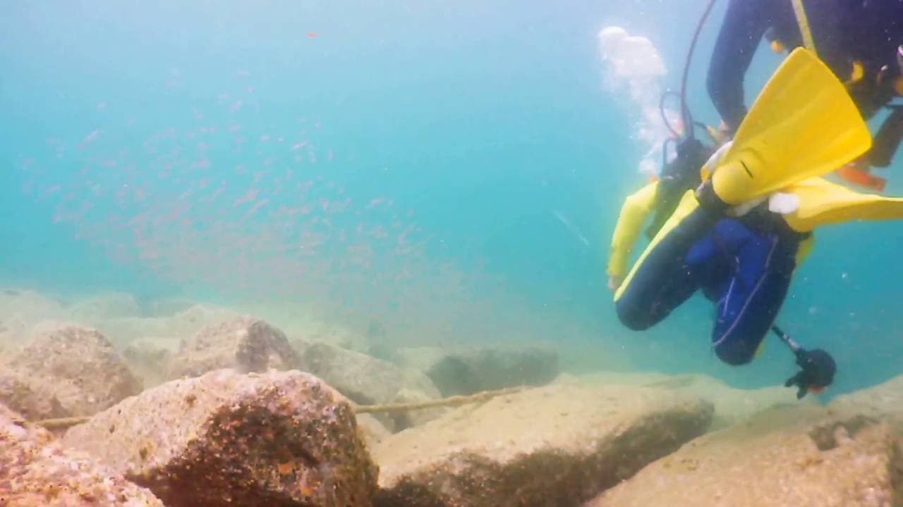 garden kids diving 2016.0821 蒼空sora in 初大瀬崎 湾内！ - YouTube