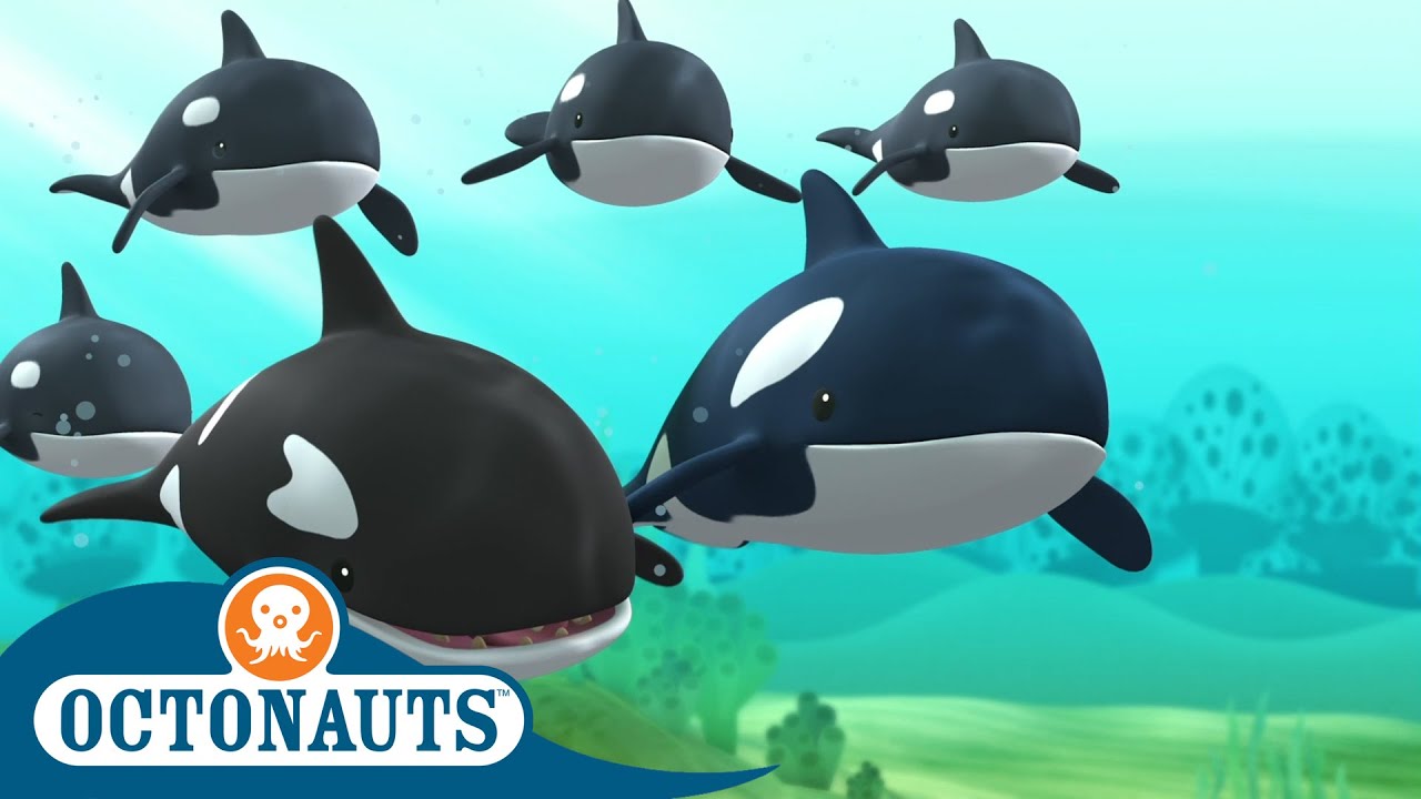 #StayHome Octonauts - An Orca Gathering | Cartoons for Kids - YouTube