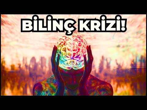 🧠❓ Bilinç Aslında Nerede? Bilim İnsanları Anlaştı mı?