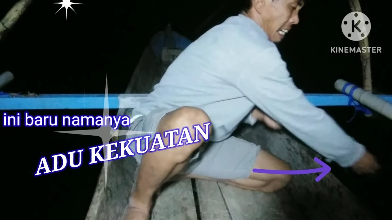 Sambaran predator sampai adu kekuatan@asri amin kjl - YouTube