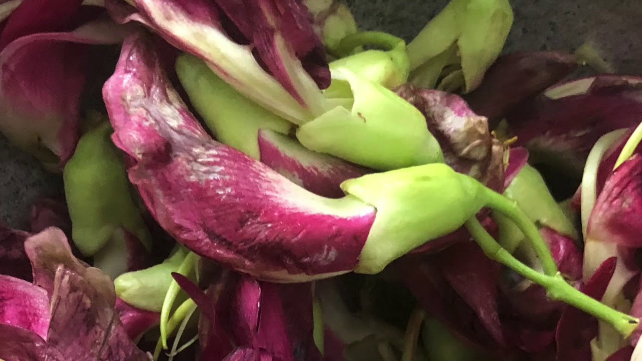 Agathi poo poriyal - YouTube