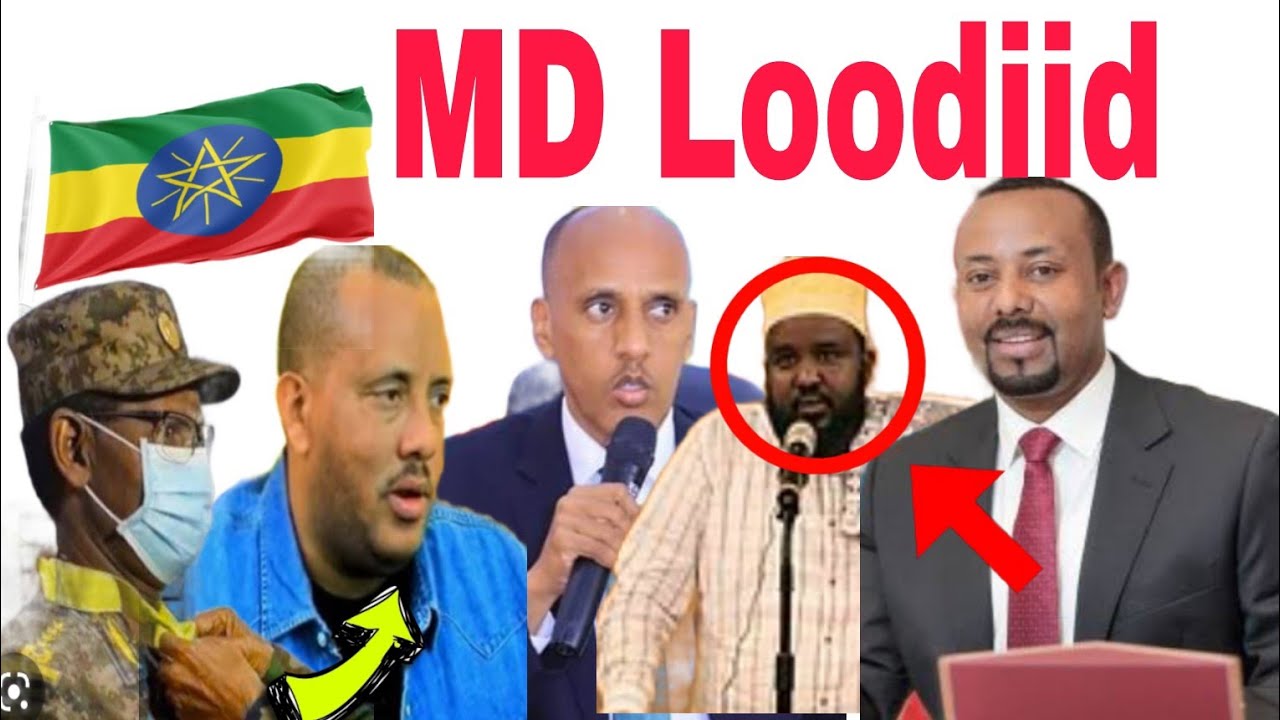 DAG DAG MD MUSTAFE OO LOODIIDAY MOOYAALE TPLF OO DAGAAL KU DHAWAAQDAY ... DAG DAG MD MUSTAFE OO LOODIIDAY MOOYAALE TPLF OO DAGAAL KU DHAWAAQDAY ...