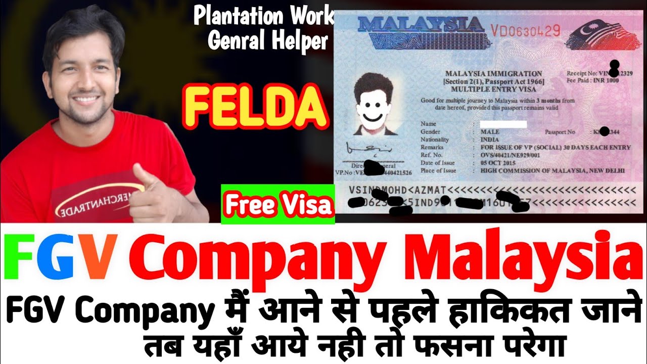FGV Compny Malaysia || Felda Plantation Compny kaisa hai || General ...