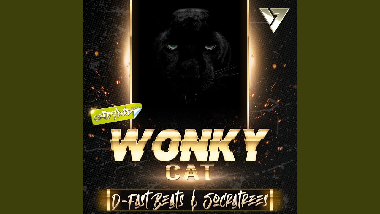 Wonky Cat (Original Mix) - YouTube