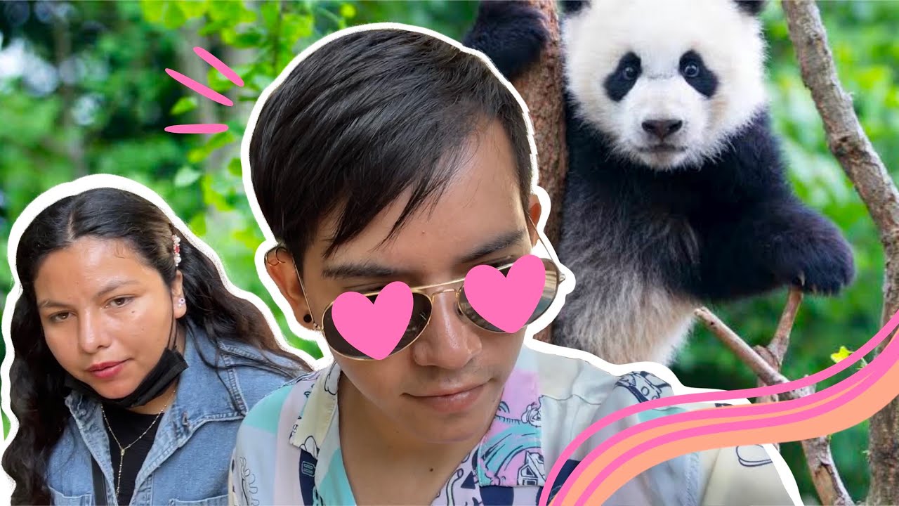 VLOG: Vimos PANDAS!! 😍 están bien preciosoooooos - YouTube