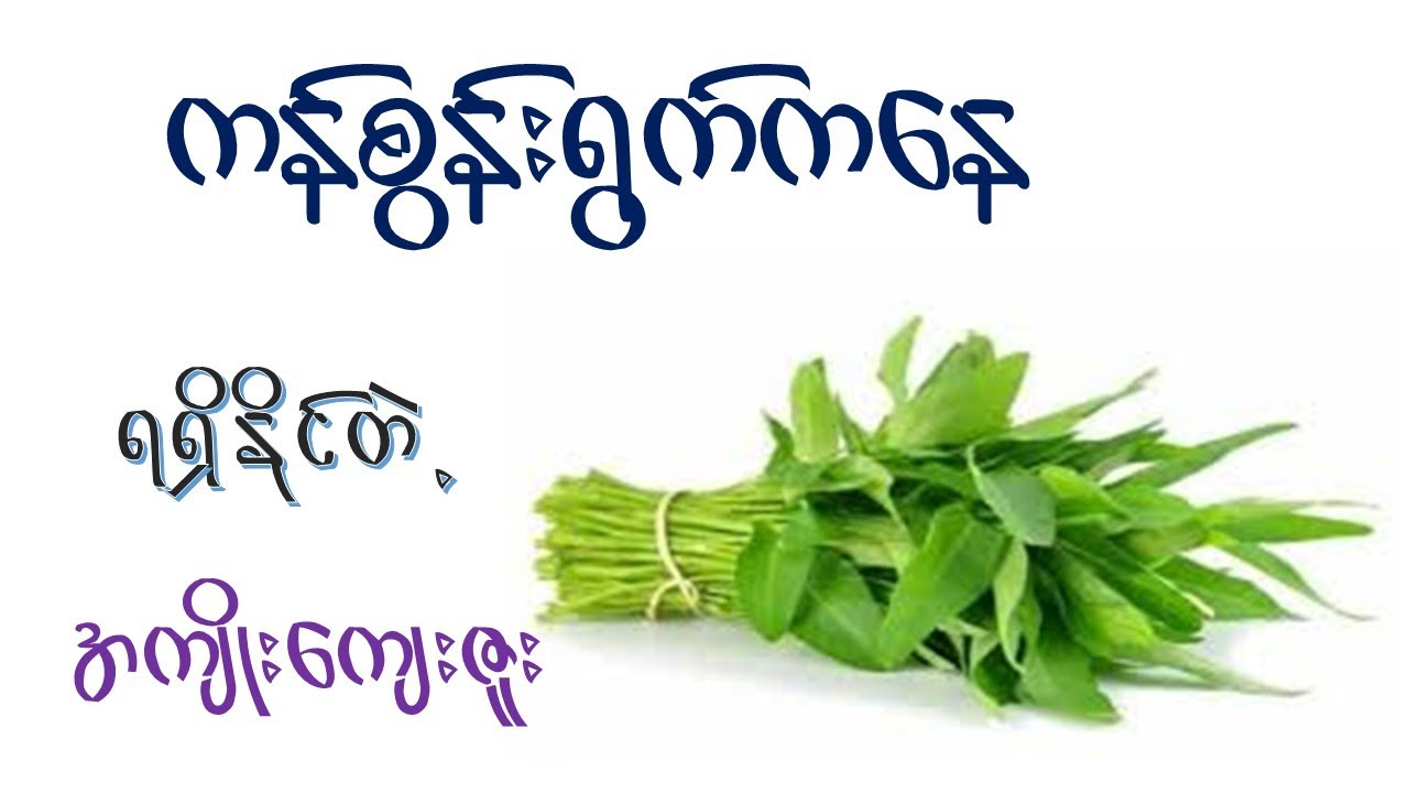 ကန်ဇွန်းရွက် ရဲ့အကျိုးအာနိသင် ၁၈ မျိုး I Health Benefits Of Water