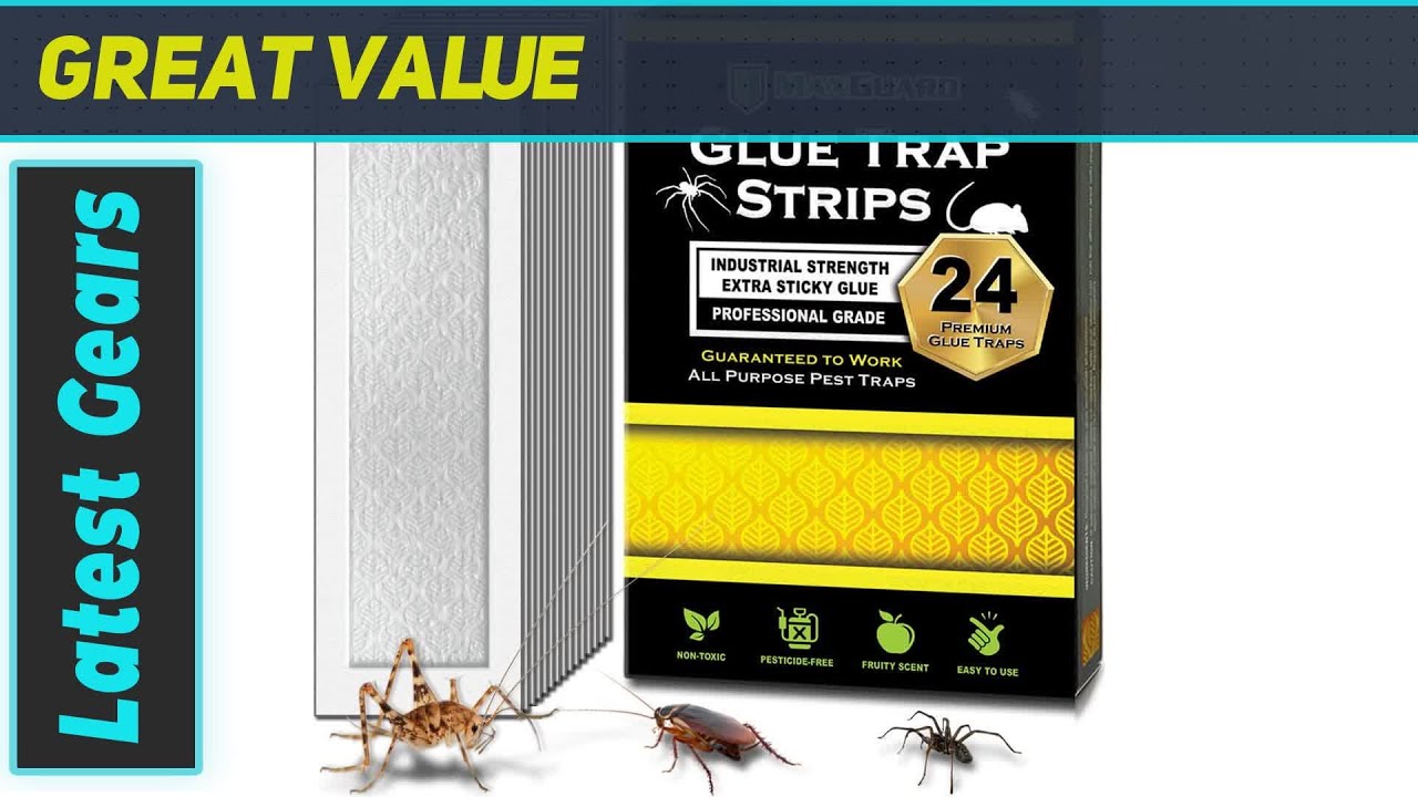 Glue Trap Strips: Ultimate Pest Control Solution? - YouTube