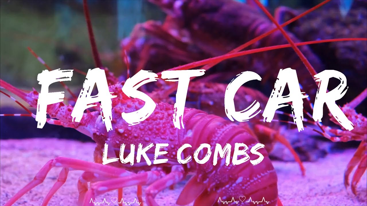 Luke Combs - Fast Car (Lyrics) || Soren Music - YouTube