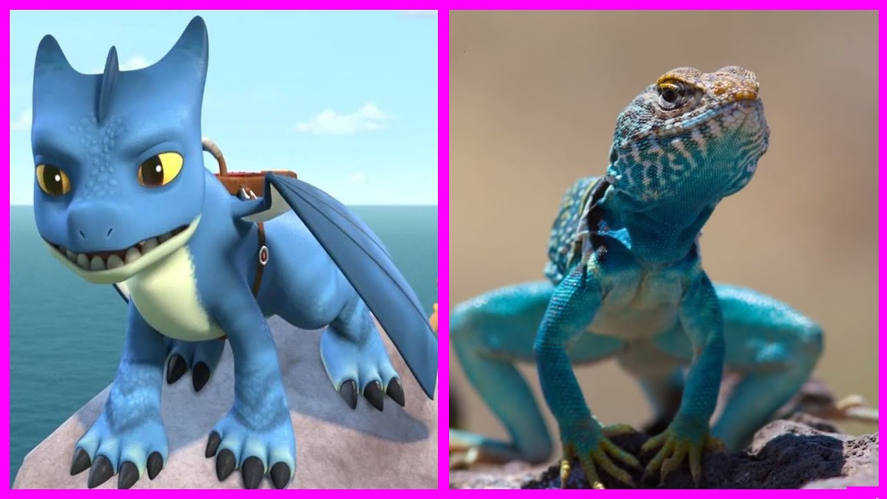 Dragons Rescue Riders Characters In Real Life - YouTube