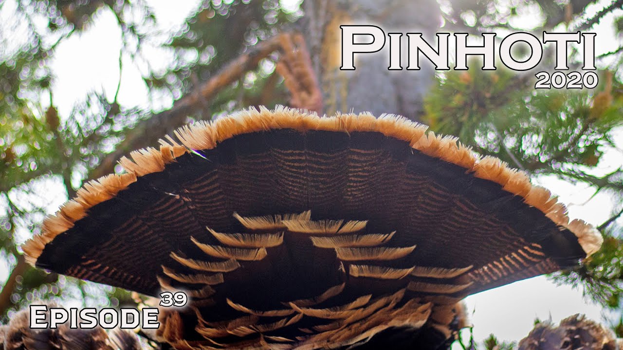 MERRIAM'S TURKEY HUNTING | STAYING with a SPOOKED GOBBLER | NEVER GIVE ...