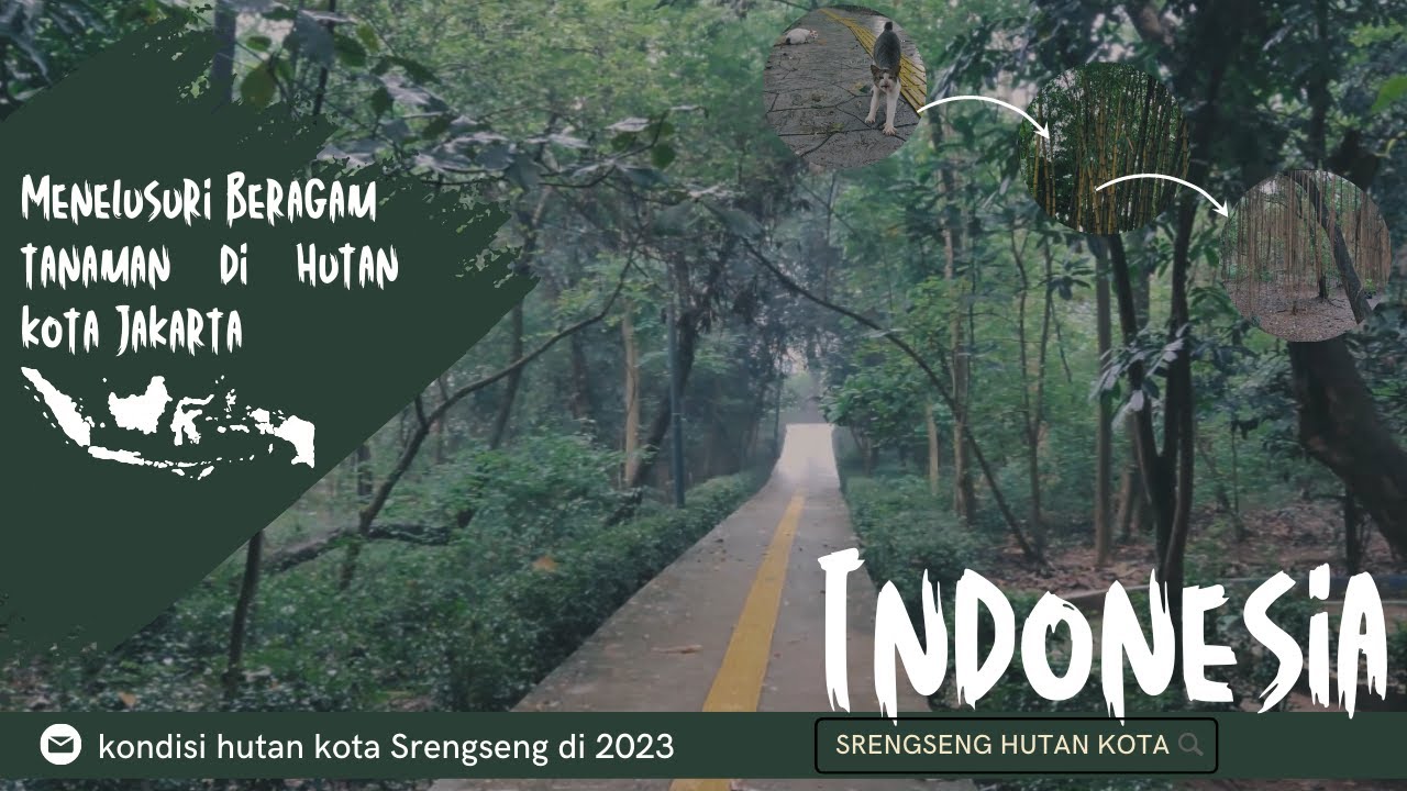 Begini kondisi hutan kota Srengseng di 2023! | walk in the urban jungle ...