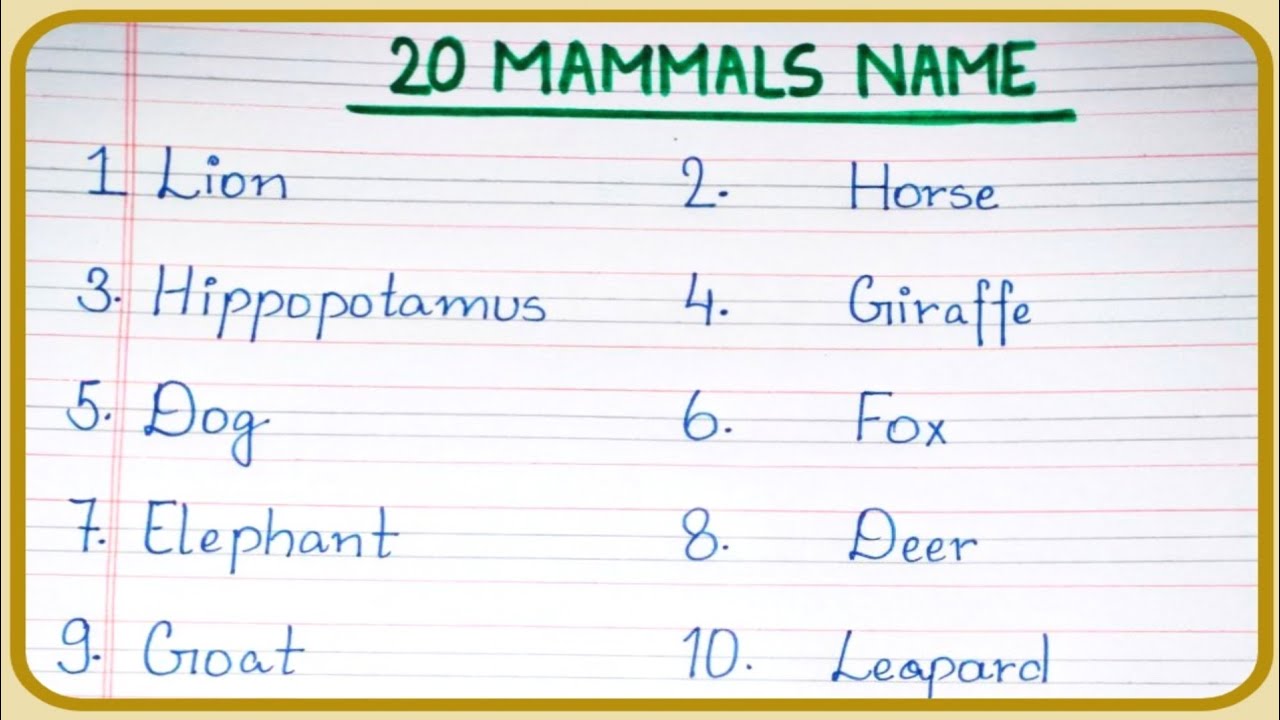 20 mammals name | 20 animals name in english || - YouTube