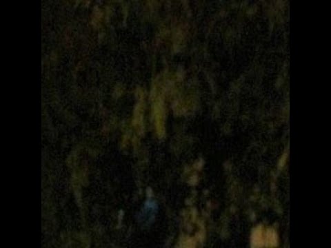 Nightpain- Grace Pt. II (How it feels to see you find your wings) - YouTube