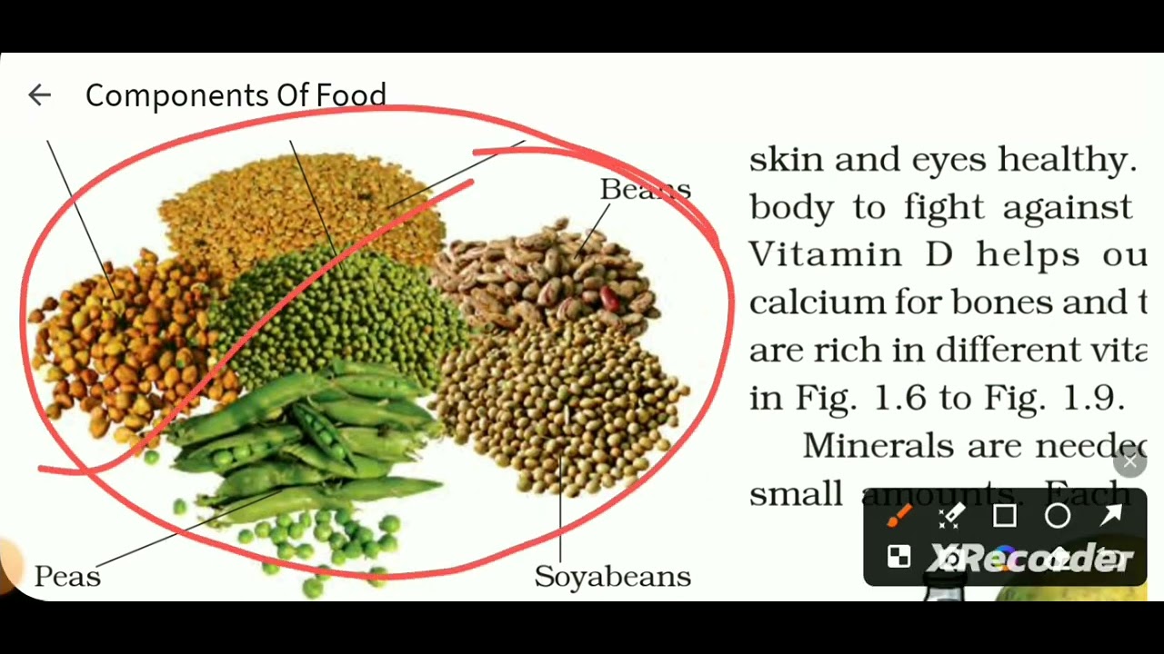 CLASS 6 /SCIENCE /CHAPTER -1 /COMPONENT OF FOOD /(part-2) FULL ...