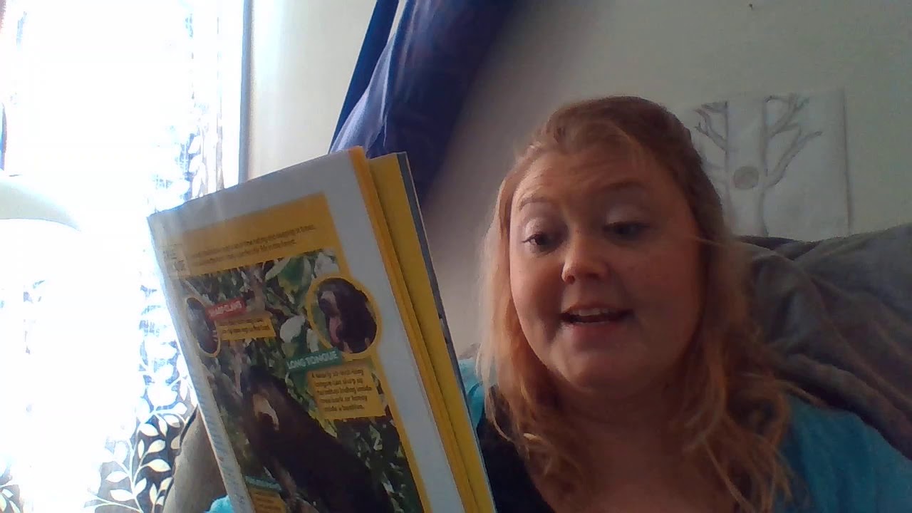 Sun Bears Read Aloud - YouTube