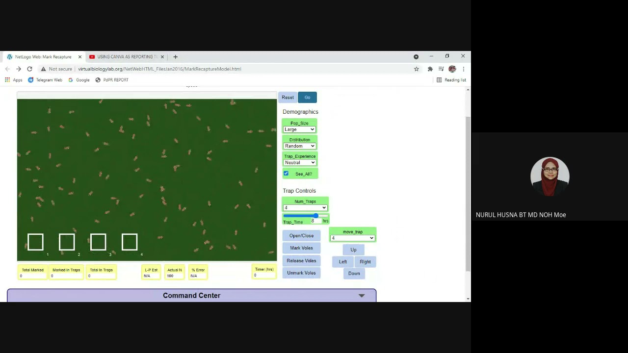 Virtual Experiment Tutorial: "Capture Mark Release Recapture Technique ...