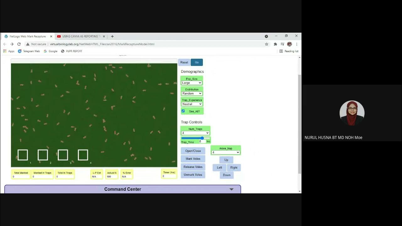 Virtual Experiment Tutorial: "Capture Mark Release Recapture Technique ...