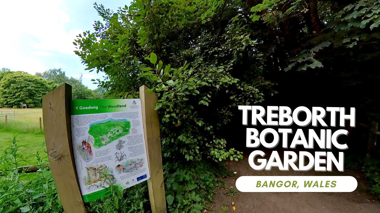 Exploring the Enchanting Treborth Botanic Garden: A Nature Walking Tour ...