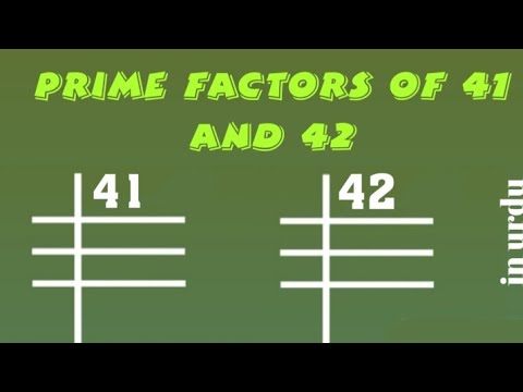 Prime Factors of 41 and 42 - Prime Factorization - YouTube