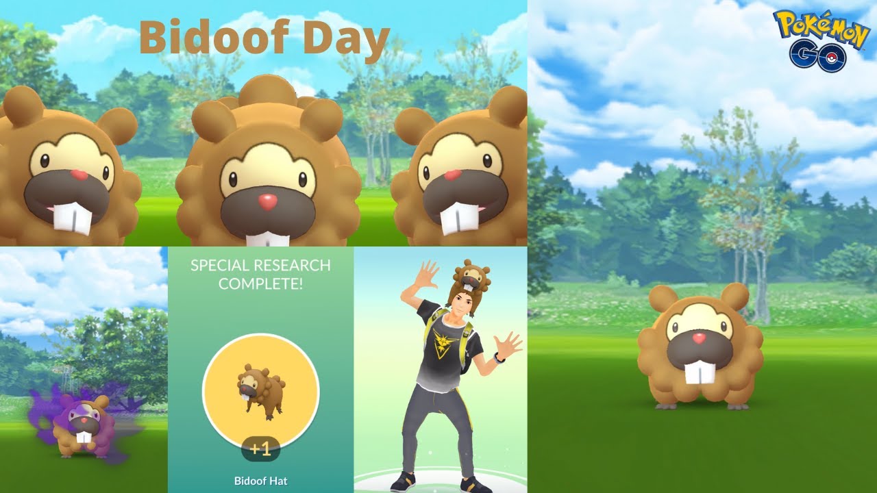 How To Complete Bidoof Day In Pokemon Go | Does You Ever Got Shiny ...