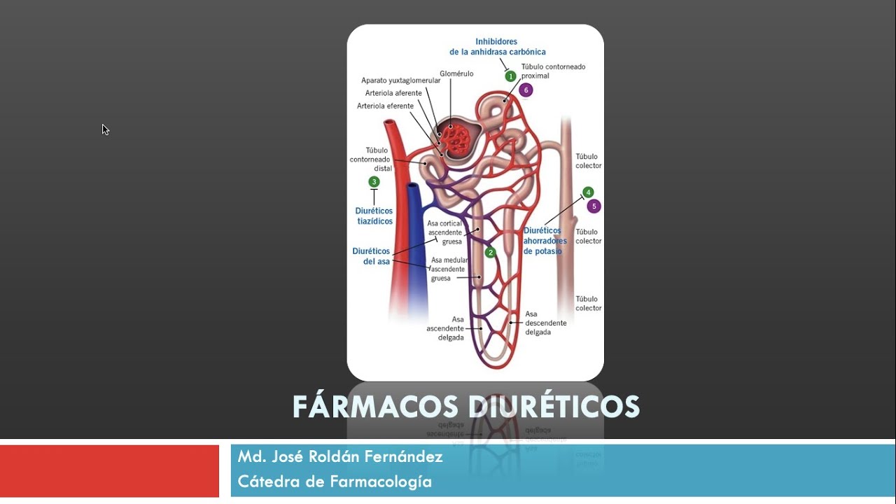 Fármacos Diuréticos Parte 1 - Farmacología Terapéutica - YouTube
